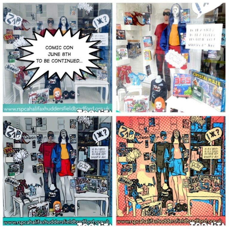Check out our Huddersfield New Street window display! - RSPCA Halifax ...