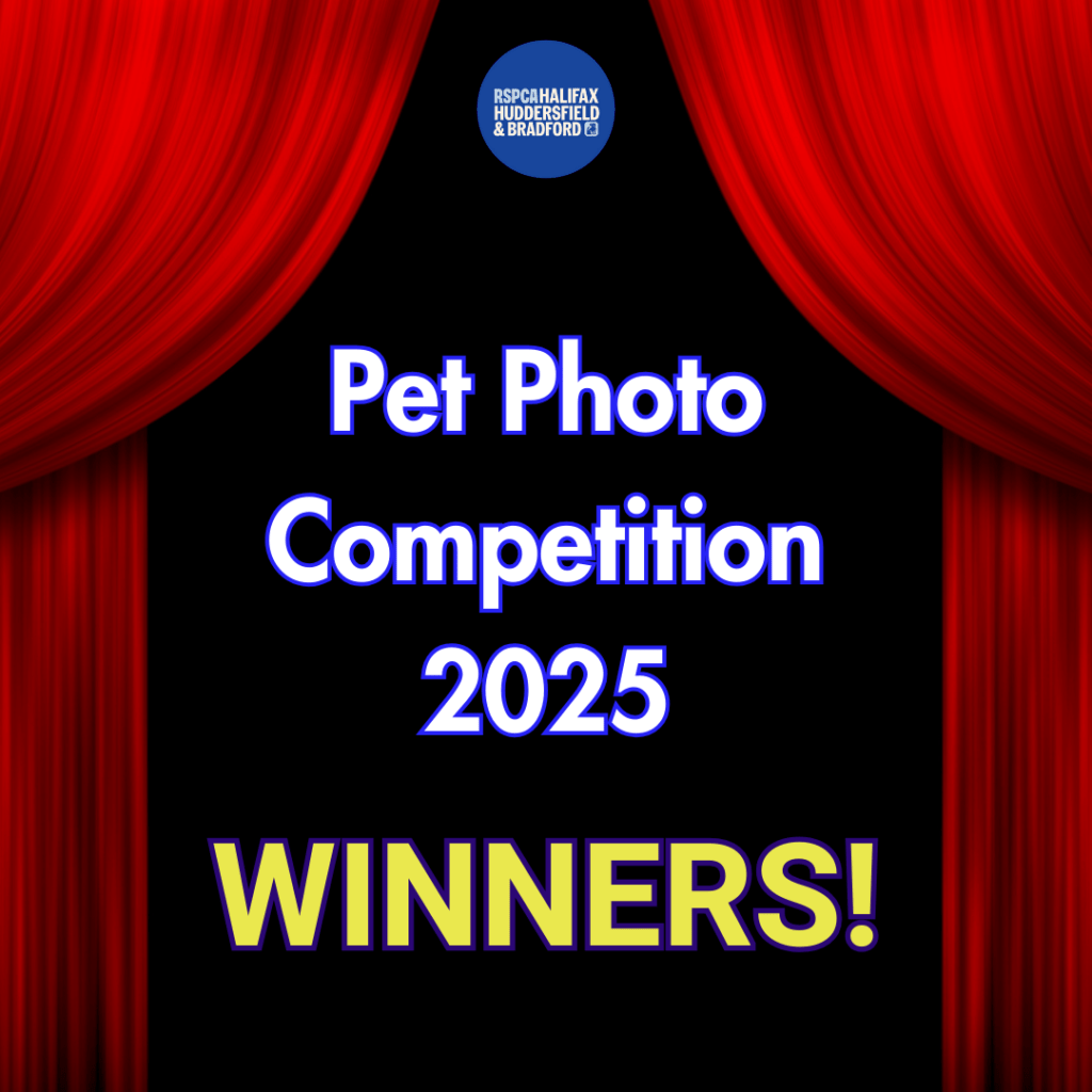 Pet Photo Competition 2025 Winners! - RSPCA Halifax, Huddersfield ...