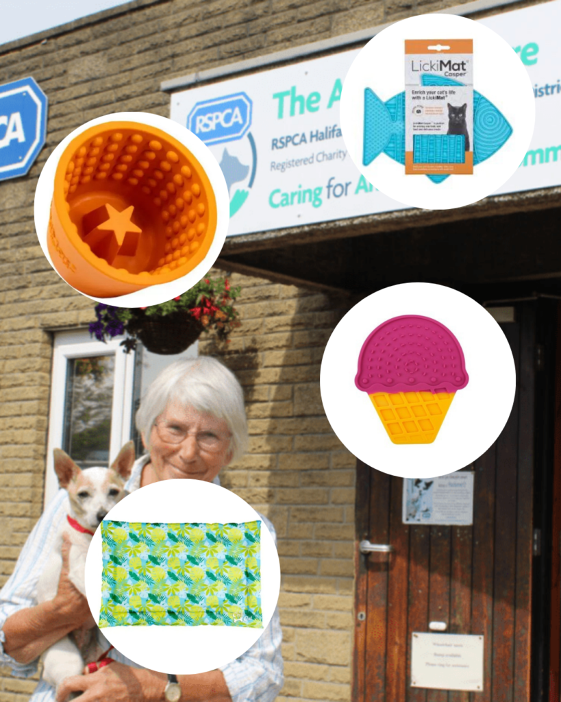 Keeping Pets Safe During a Heatwave - RSPCA Halifax, Huddersfield ...